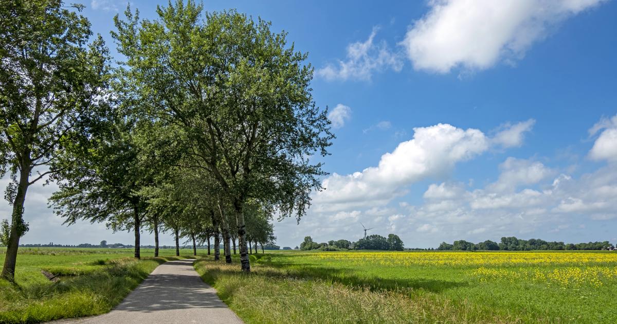 De provinciale zoektocht naar een nieuwe koers voor het landelijk ...