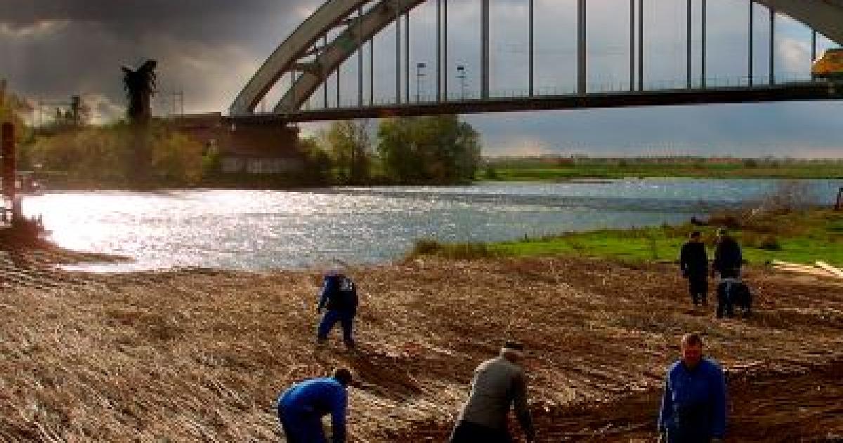 Sustainable use of nature is good for the economy | PBL Netherlands ...