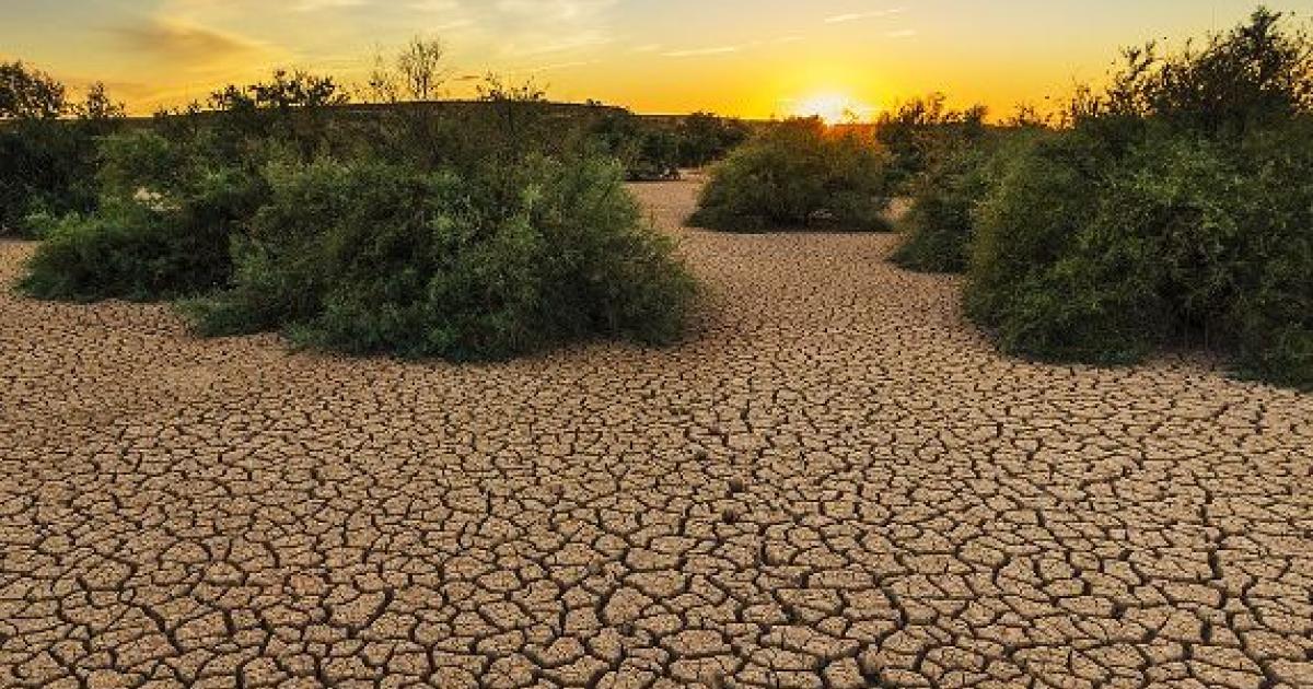 Prevention of worldwide degradation of land and nature can contribute ...