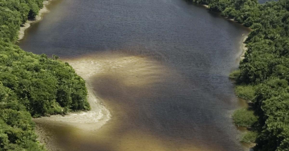 Nutrient dynamics, transfer and retention along the aquatic continuum ...