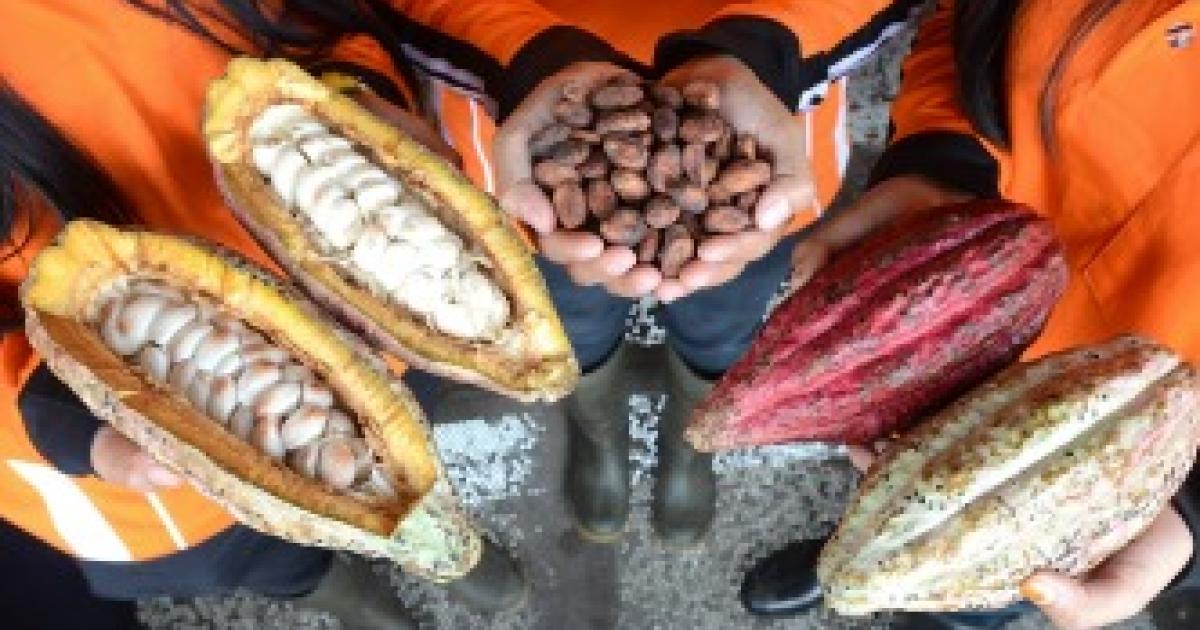 Wat kan duurzame handel bijdragen aan het behoud van natuurlijk ...