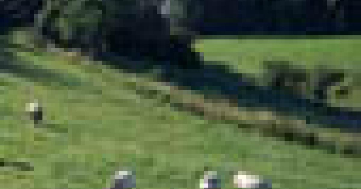 Internationale review van het GLOBIO model versie 3 | Planbureau voor ...