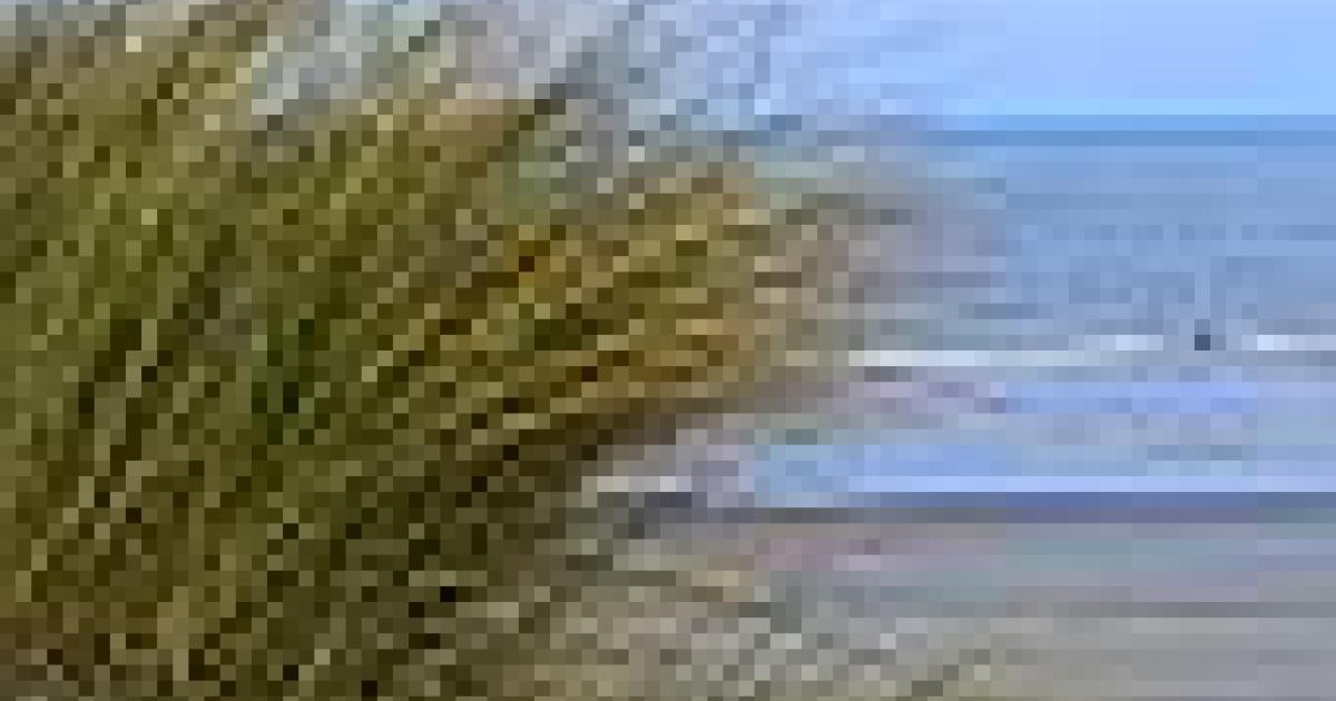 Flood protection in the Netherlands: framing long-term challenges and ...