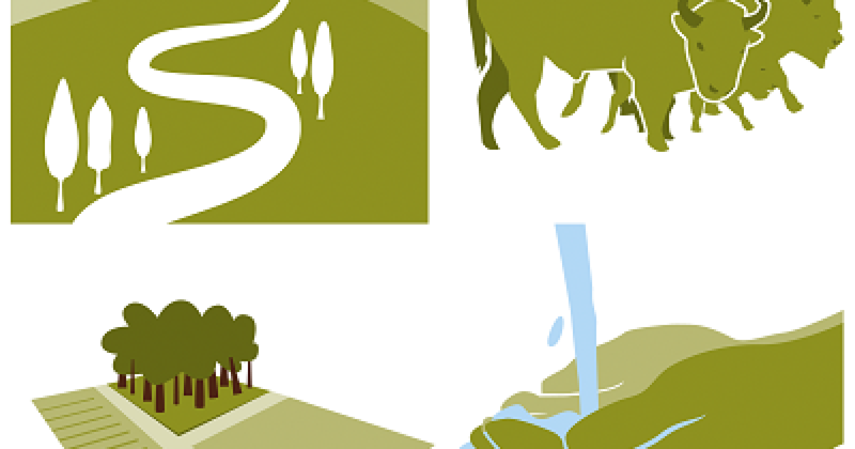 What is your perspective on nature? Watch the videos | PBL Netherlands ...