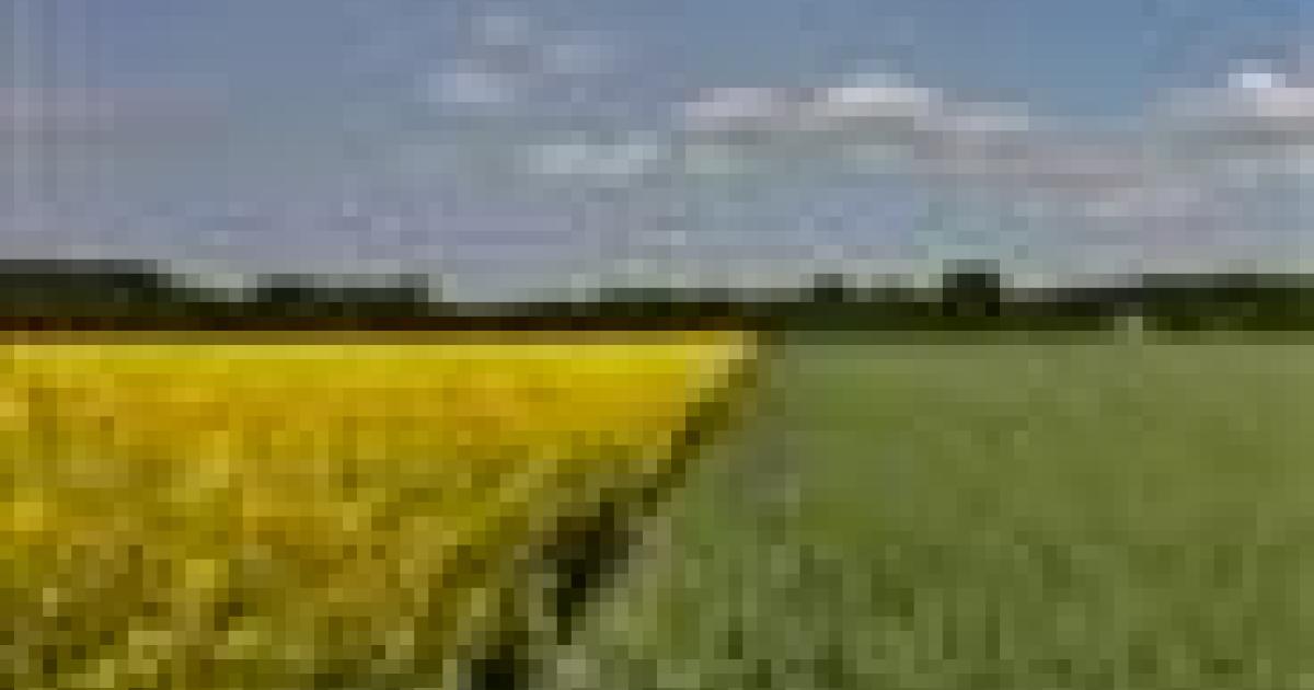 By-products of biofuels reduce indirect land-use change | PBL ...