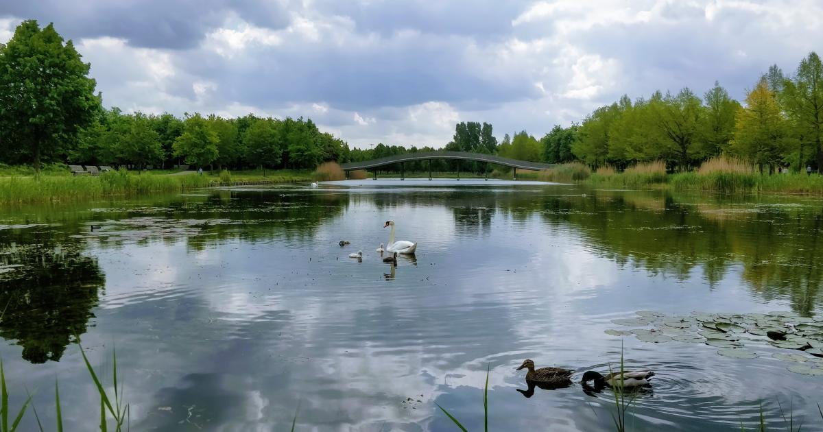 Enhancing Urban Nature Provision in the Netherlands | PBL Netherlands ...