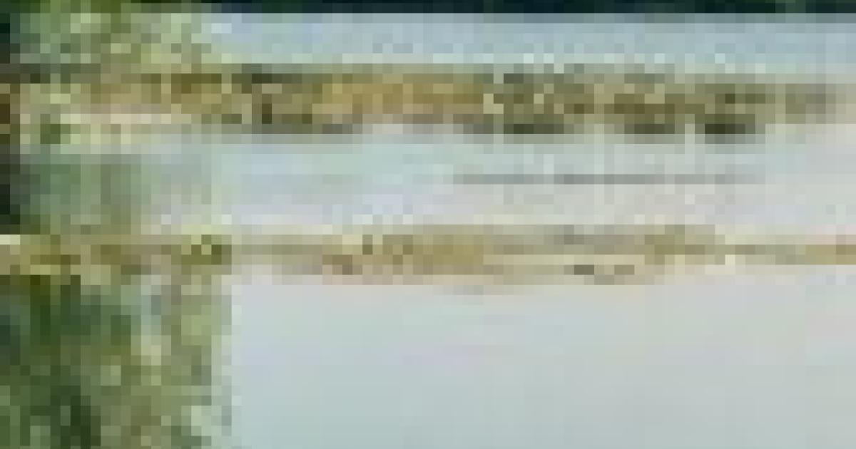 Predicting the effect of climate change on temperate shallow lakes with ...