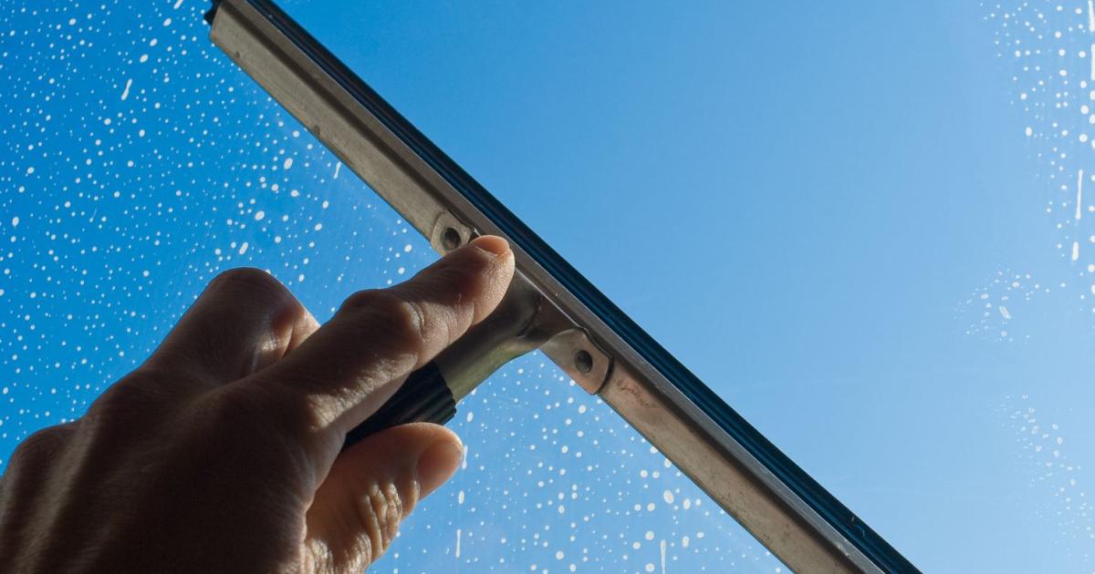 Dutch policies for company transparency on sustainability performance ...